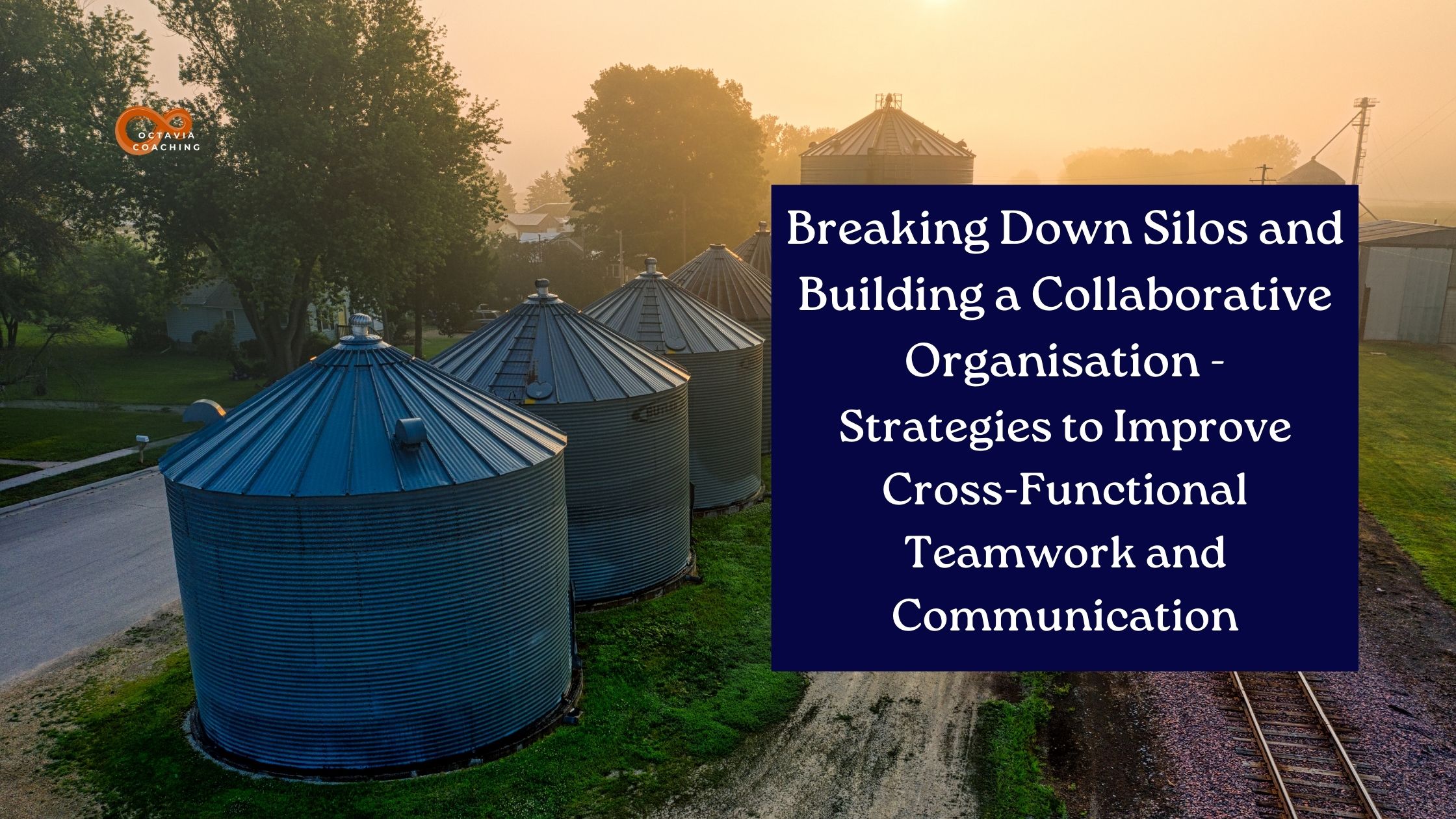 How to Break Down Silos and Build a Collaborative Organisation ...